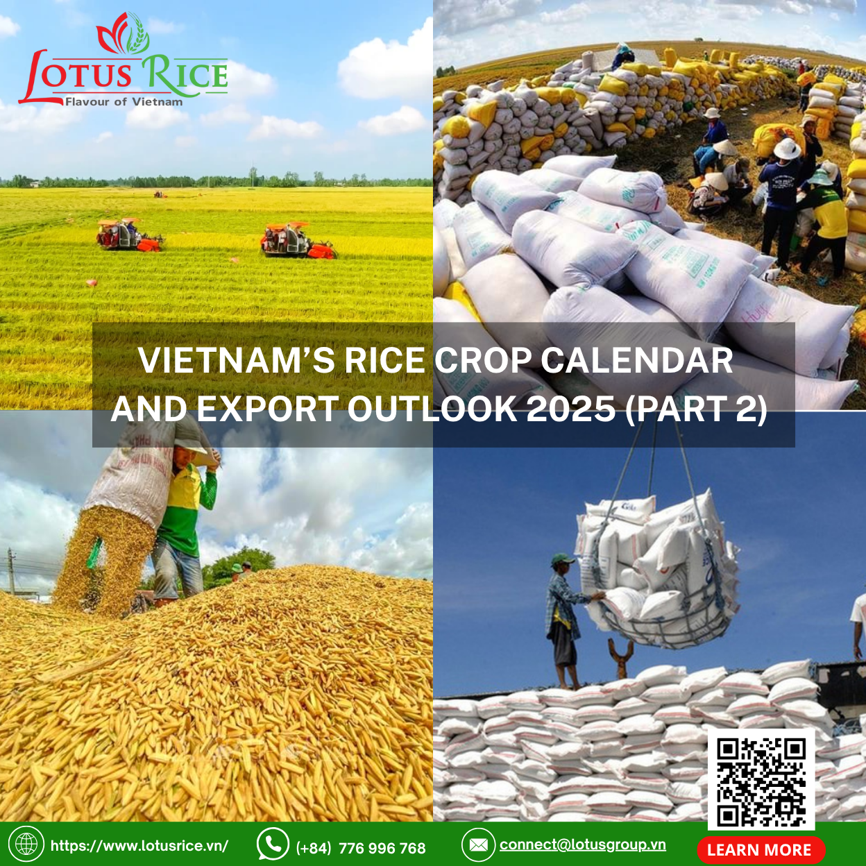 Vietnam Rice Crop Calendar & Export Outlook 2025: Key Regions, Seasons ...