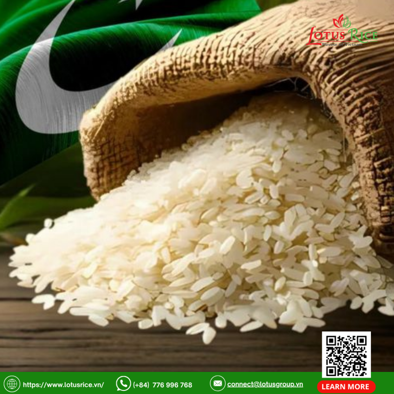 Top 5 Rice Exporting Countries In 2025- Global Market Overview - Lotus Rice